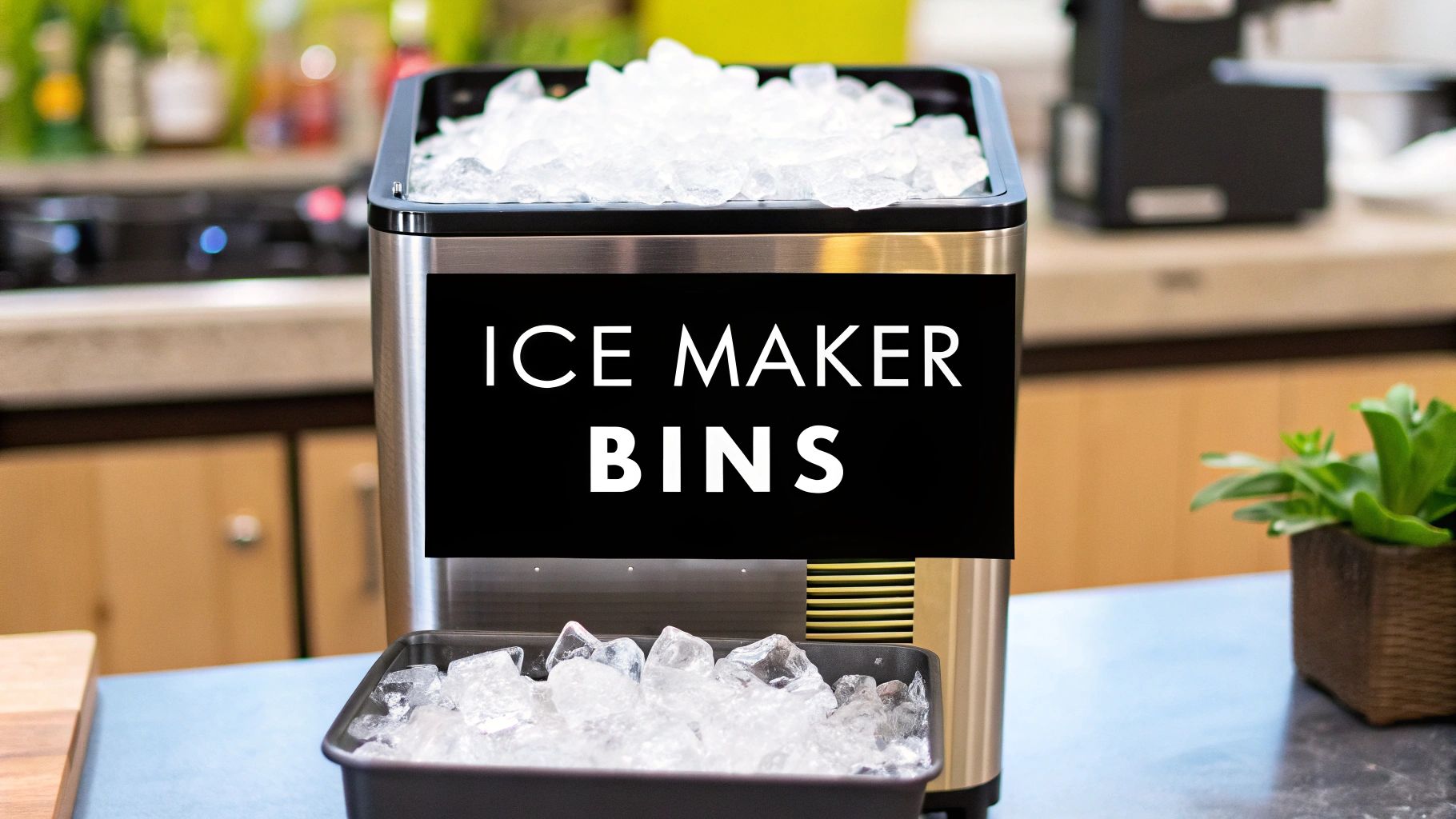 The Ultimate Guide to Choosing the Right Ice Maker Bins – Encore Seattle